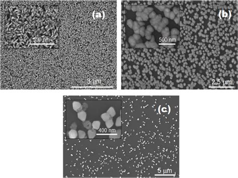 SEM Images Of A Sample A B Sample B C Sample C Download Scientific Diagram