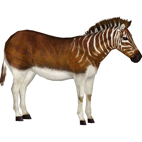 Quagga Lgcfm Zt2 Download Library Wiki Fandom