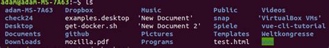 Bash How To Get Colors In Vagrant Shell Ask Ubuntu