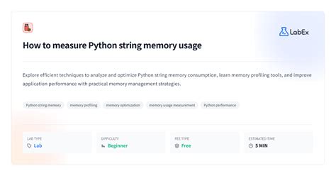 How To Measure Python String Memory Usage Labex