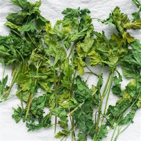 How To Dry Parsley In The Oven Brooklyn Farm Girl