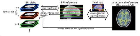 Figure 1 From Integrated Fmri Preprocessing Framework Using Extended Kalman Filter For
