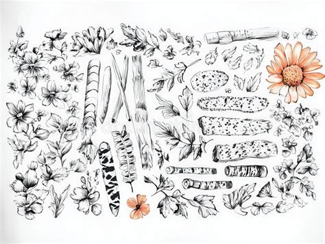 Sketch Pattern A Decorative Representation Showcasing Various Patterns Created Through Sketch