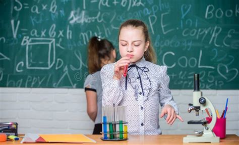 Educational Experiment School Classes Biology And Chemistry Lessons