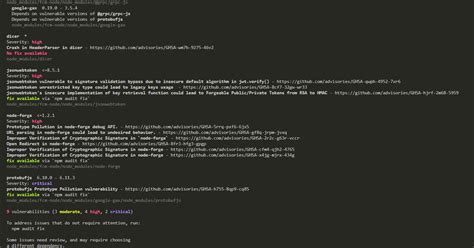 Javascript Facing Some Issue While Using Npm Audit Command In Node