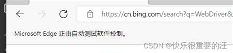 selenium安装谷歌、火狐、edge selenium firefox csdn博客