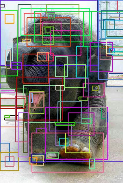 Image Processing Opencv Selective Search Not Returning Region