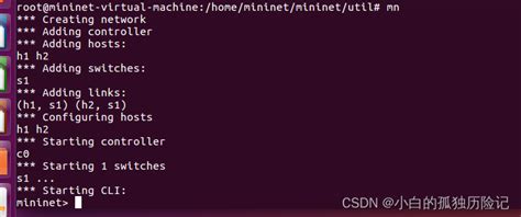 Ubuntu下mininet的安装方法ubuntu安装mininet Csdn博客