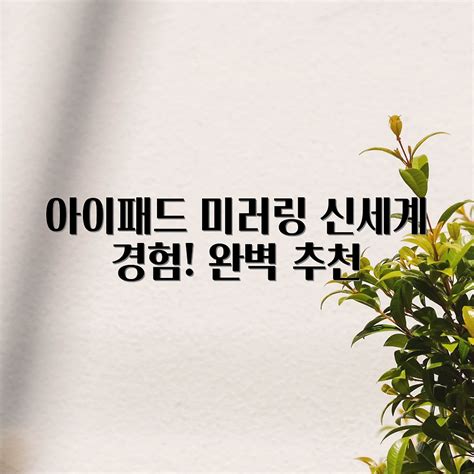 아이패드 미러링 신세계를 추천