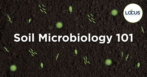 Soil Microbes