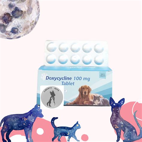 Jual Doxycyline Doxy Cycline Antibiotik 100mg Untuk Kucing Anjing 1 Tablet Shopee Indonesia Jual Doxycyline Doxy Cycline Antibiotik 100mg Untuk Kucing Anjing 1 Tablet Shopee Indonesia
