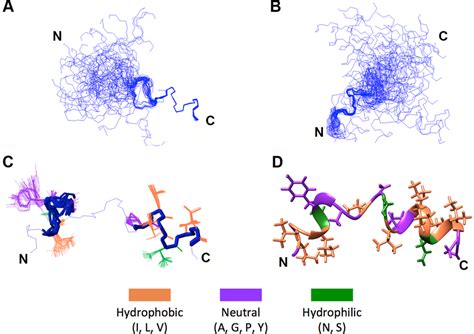 Nmr Structural Determination Of A Helix Loop Helix Conformation In