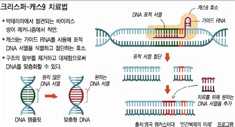 유전자편집기술 개요 종류별 특징 장점 단점 응용분야 기술개발동향 관련 기업 네이버 블로그