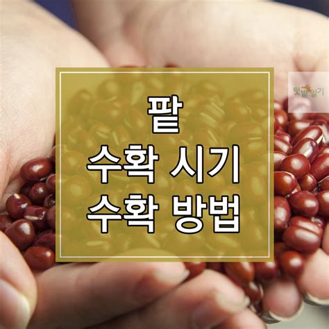 2023년 팥 수확시기 및 수확방법 저장방법 알아보기