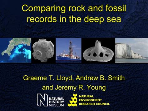 Comparing Rock And Fossil Records In The Deep Sea Ppt