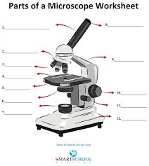 Microscope Parts And Dissection Tools Diagram Quizlet