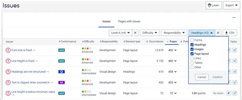 Accessibility Working With Issue Filters