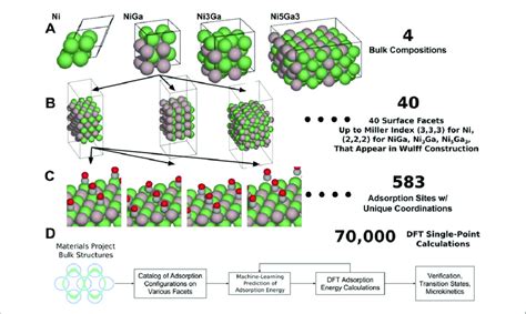 Schematic Of The Combinatorial Space Of Adsorption On A Bimetallic
