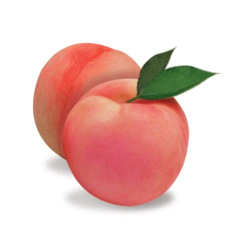 복숭아