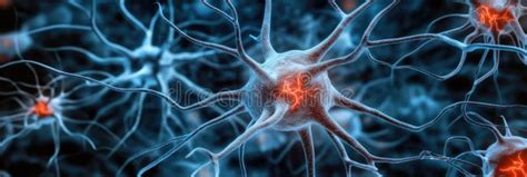 Closeup Visualization Of Neurons Synapses Brain Activity And Neural