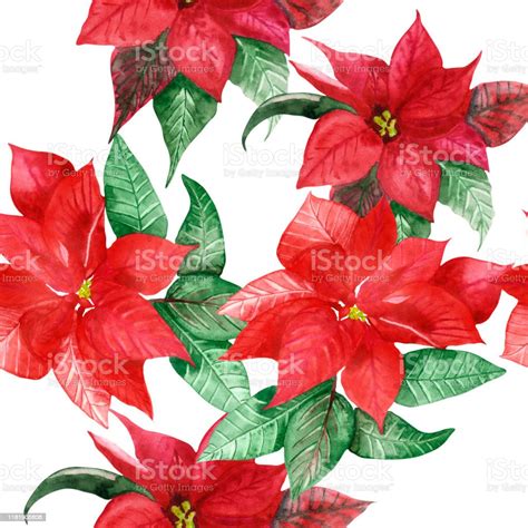 수채화 손 은 크리스마스 선물 포장지 및 휴일 직물흰색 배경에 고립 된 빨간색 Poinsettia 꽃과 녹색 잎과 크리스마스
