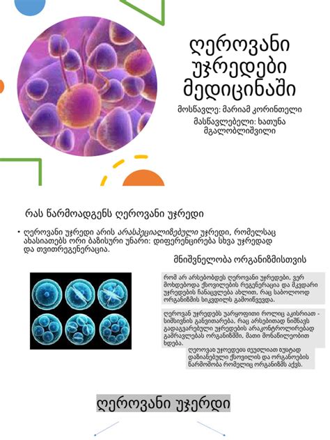 ღეროვანი უჯრედები Pdf