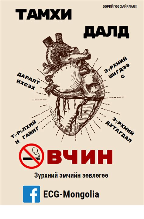 Ecg Mongolia Зүрхний эмчийн зөвлөгөө Зүрхний эхо