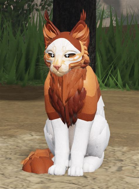 Wcue Morph Ideas Warrior Cats Wue Morph Whats My Wue Morph Wcue Oc