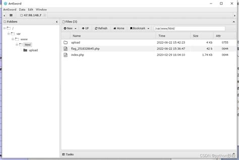 Ctfhub 技能树 Web题 文件上传（无验证，js前端验证，前端验证）ctfhub 文件上传 Js前端验证 Csdn博客