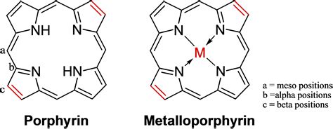 Difference Between Corrin Ring And Porphyrin Ring