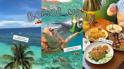 🇵🇭 3박5일 보홀여행 Vlog Ep01 ﾟ･｡ﾟ거북아 너보러 또 보홀 왔잖아 보홀찐맛집 3시간자고 호핑