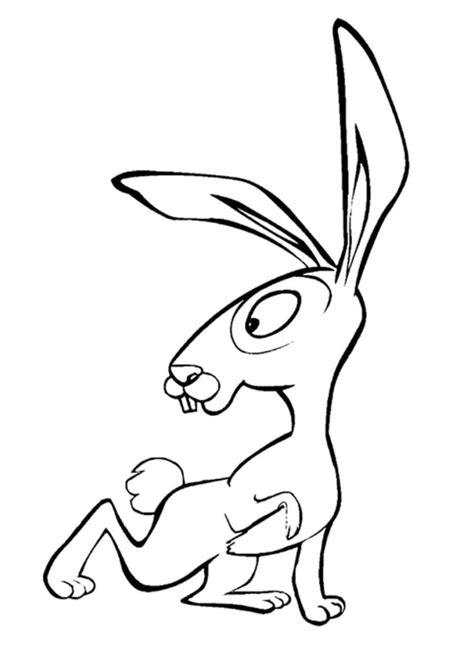 Desenhos De Lebre Para Colorir