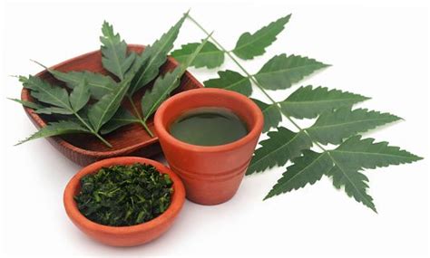 Gowardhanversatility Neembeyondfarms Holisticneem Ecowarrior