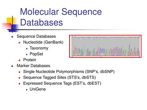 PPT NCBI PowerPoint Presentation Free Download ID