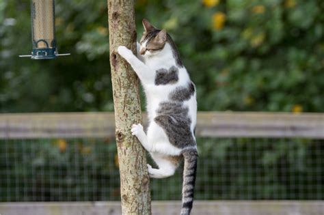 Fluency Activities To Tackle Your Language Learning Journey