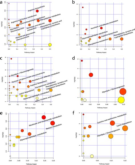 Pathway Analysis Visualized By Bubble Diagrams A Control Group Vs Download Scientific Diagram