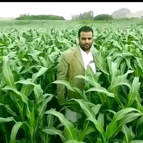 صفحه فرح فرح