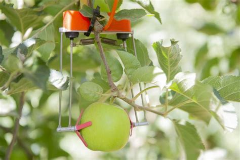 Niraj Naidu On Linkedin Apache Cassandra The Secret Weapon For Ai