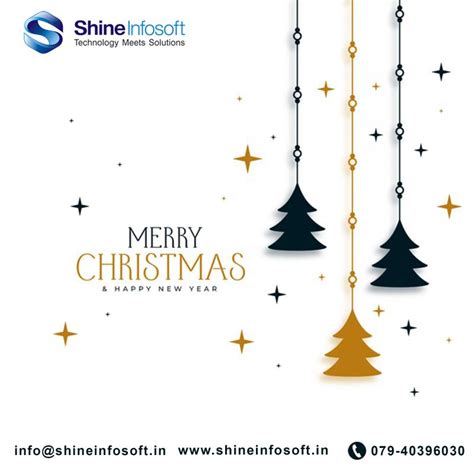 shine infosoft mobile and web app development agency hire remote