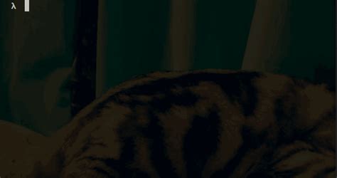 Github Azerprova Test Runner Based On Tape And Browserify