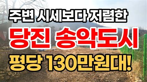 투자 가능지역 당진 최고급 호재들 평당 130만원대 미친가격 010 3391 6663 Youtube