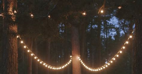 경치가 좋은 고요한 꼬마 전구 나무 나무가 우거진 지역 낭만적인 녹지 다시 자연으로 대기의 동화 러스틱 레크리에이션 마법에 걸린 목가적인 목조 벤치