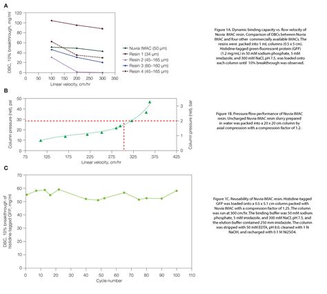 Lab To Process Scale Protein Purification