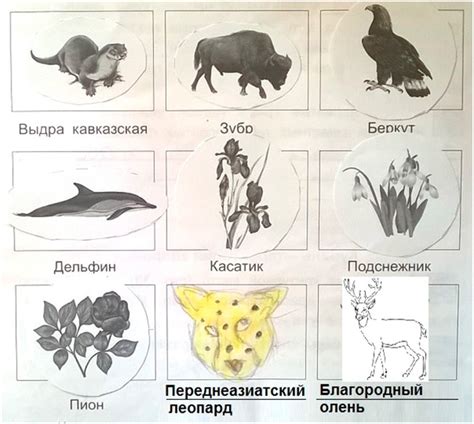 Ответ ГДЗ Тема 5. «Растительный и животный мир Кубани». Задание 2 ...