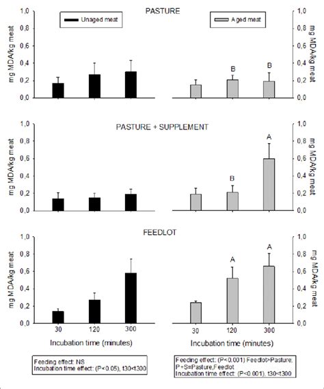 Iron Induced Lipid Oxidation Tbars Mg Mdakg Meat In Unaged And