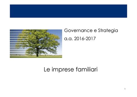 Slide Governance E Strategia Docsity