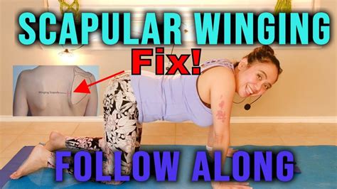 Scapular Winging Follow Along With Elastic Band Progression Exercises Youtube