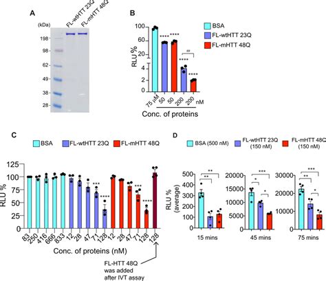 Mhtt Inhibits Protein Synthesis In Vitro A Coomassie Gel Showing