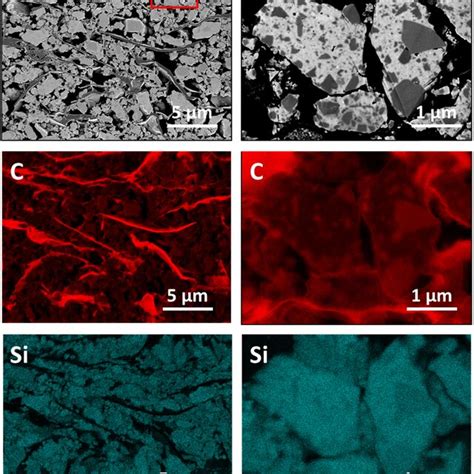 Broad Ion Beam‐polished Cross‐section Scanning Electron Microscopy
