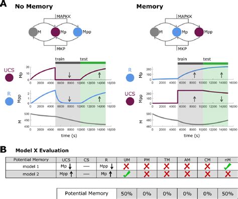 Example Network And Memory Evaluation A Two Potential Memory Models Download Scientific
